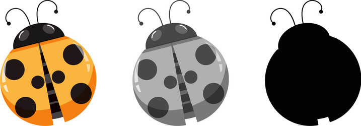 Lady Bug Black And White Clip Art