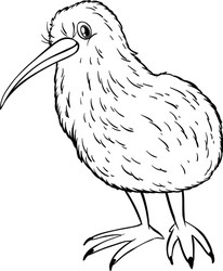 Kiwi bird Royalty Free Vector Image - VectorStock