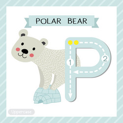Polar Bear Reading Vector Images (57)