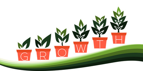 Progress of plants a pot growth Royalty Free Vector Image