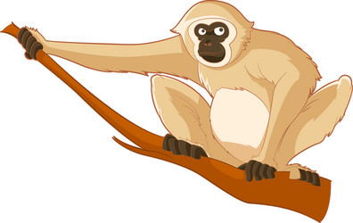 Cute monkey cartoon on white background Royalty Free Vector