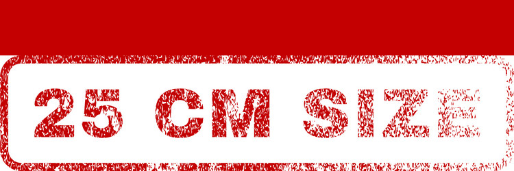 25 cm size rubber stamp Royalty Free Vector Image