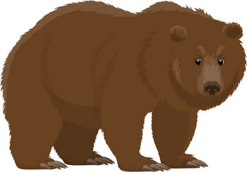 Cute woodland animal brown bear forest fluffy Vector Image