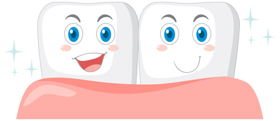 Cartoon loose teeth in gum on white background Vector Image