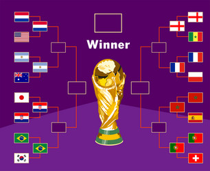 Final flag countries emblem france argentina Vector Image