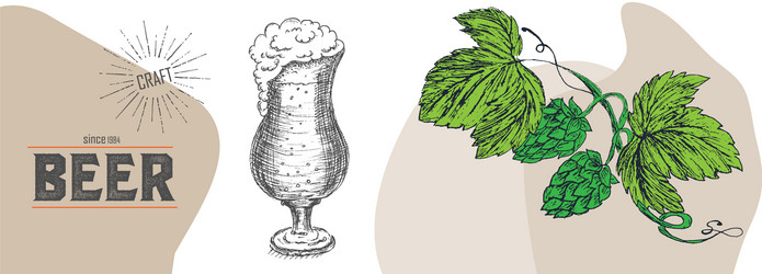 Beer graphical objects used for festival Vector Image