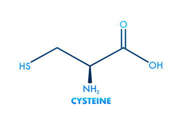 Cysteine molecular skeletal chemical formula 3d Vector Image