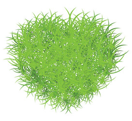 Heart on green grass Royalty Free Vector Image