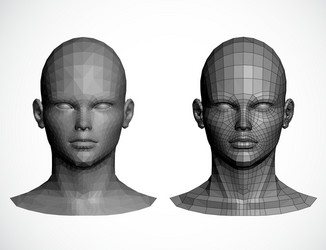 Heads Royalty Free Vector Image - VectorStock