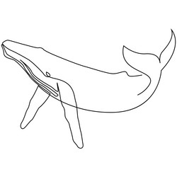 Breaching humpback whale line art Royalty Free Vector Image