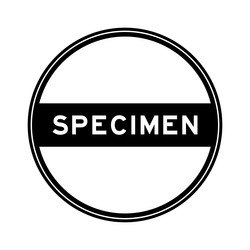 Specimen Vector Images (over 2,300)