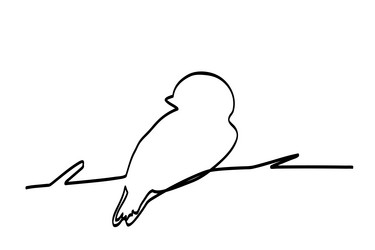 Hand draw single line sketch birds at branch Vector Image
