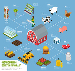 Farm veterinary isometric flowchart Royalty Free Vector