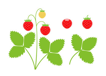 Strawberry Vector Images (over 120,000)