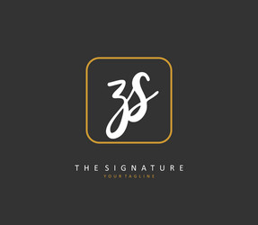 Z s zs initial letter handwriting and signature Vector Image