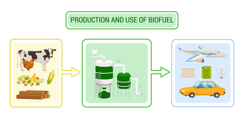 Biofuel production infographics scheme Royalty Free Vector