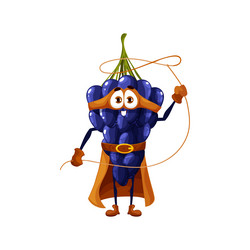 Cartoon fruits superhero pirate cowboy knight Vector Image