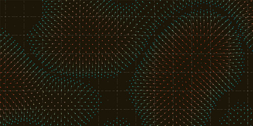 Monochrome field visualization of forces Vector Image