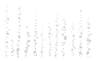 Bubble fizz water champagne soda sparkle Vector Image