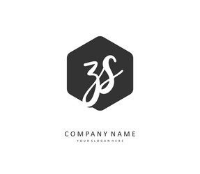 Z s zs initial letter handwriting and signature Vector Image