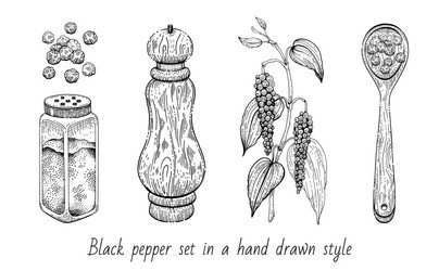 Tree Spice Pepper Vector Images (over 180)