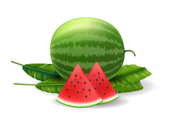 Watermelon Vector Images (over 70,000)