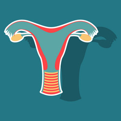 Free Uterus Vector Images (over 170)