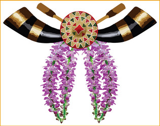 Kapou flower-fox tail orchid kopou phool Vector Image