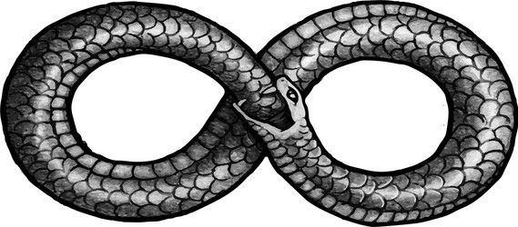 Infinity Snake Vector Images (over 540)
