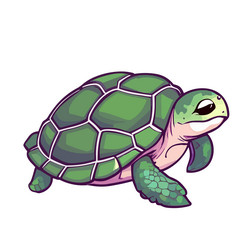 Turtle flat cartoon style Royalty Free Vector Image