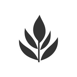 Curry Leaf Vector Images (over 860)