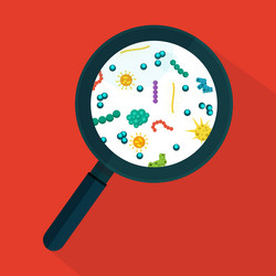 Germs under microscope Royalty Free Vector Image