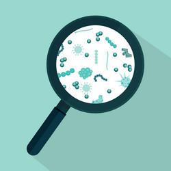 Germs under microscope Royalty Free Vector Image