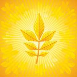 Square of abstract autumn Royalty Free Vector Image