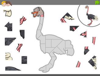 Diagram showing body part ostrich Royalty Free Vector Image