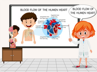 Young scientist explaining blood flow Royalty Free Vector