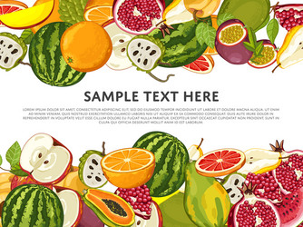 Set of mixed fruit Royalty Free Vector Image - VectorStock