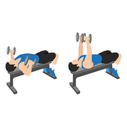 Man doing flat bench dumbbell fly exercise Vector Image