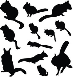 Chipmunk Silhouette Vector Images (over 950)