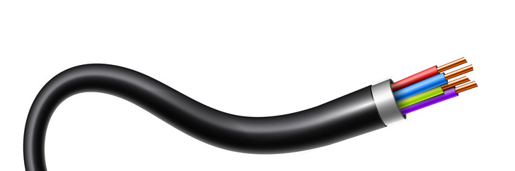 Creative of flexible electric Royalty Free Vector Image