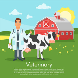 Veterinarian doctor with cow Royalty Free Vector Image