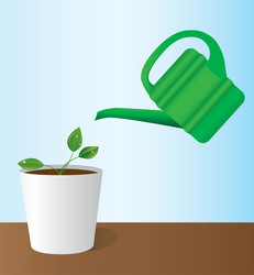 Plant tree seed growing in pot drawing Royalty Free Vector