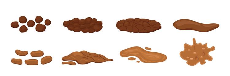 Bristol Scale Vector Images (24)