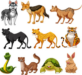 Set of wild animals Royalty Free Vector Image - VectorStock