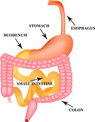 Excretion Vector Images (over 500)