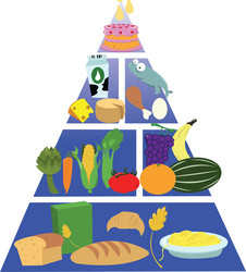 Funny food pyramid Royalty Free Vector Image - VectorStock