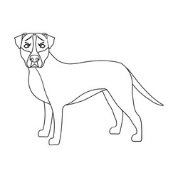 Labrador Outline Vector Images (over 3,000)