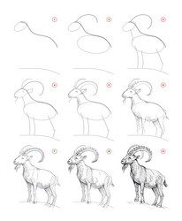 Page shows how to learn draw from life sketch Vector Image