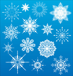 Snowflakes winter season christmas snow Royalty Free Vector