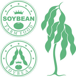 Soybean Royalty Free Vector Image - VectorStock